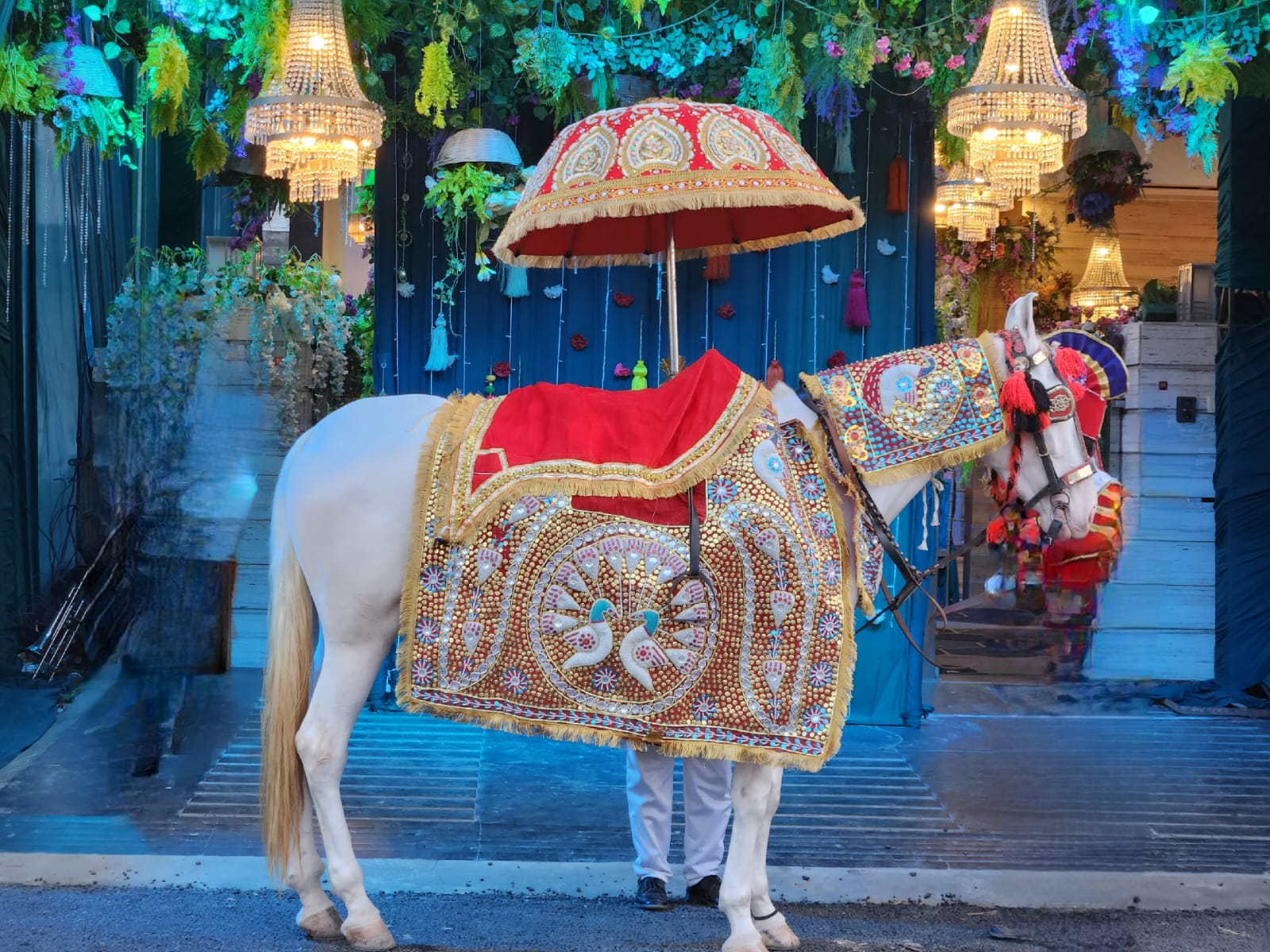 SINDHI GHORI WALA